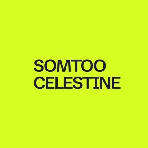 SOMTOO CELESTINE EZIOHA — Clarify. Engage. Grow.